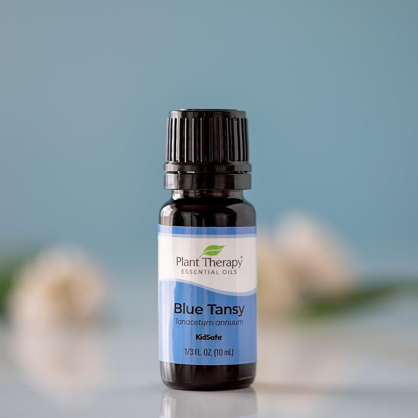 Shop Plant Therapy Blue Tansy Essential Oil Malaysia – OilyPod