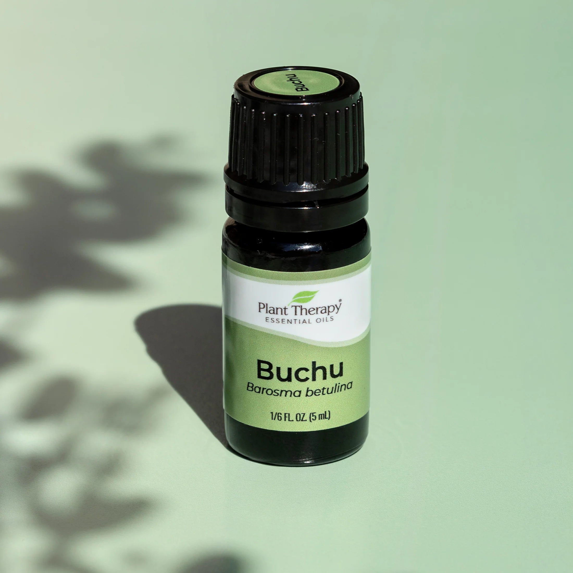 Plant Therapy Buchu Essential Oil – OilyPod