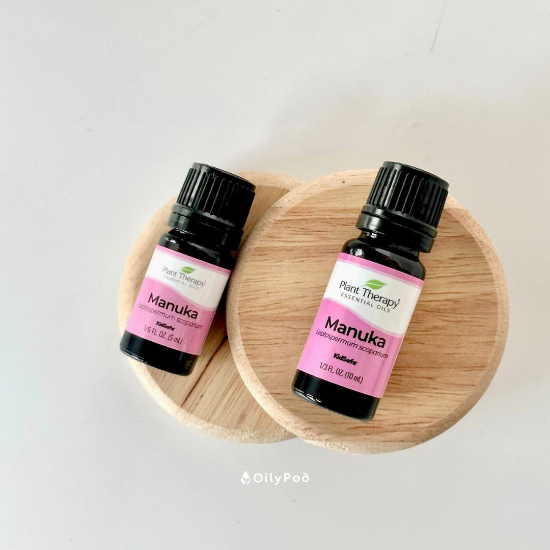 Plant Therapy Manuka Essential Oil – OilyPod