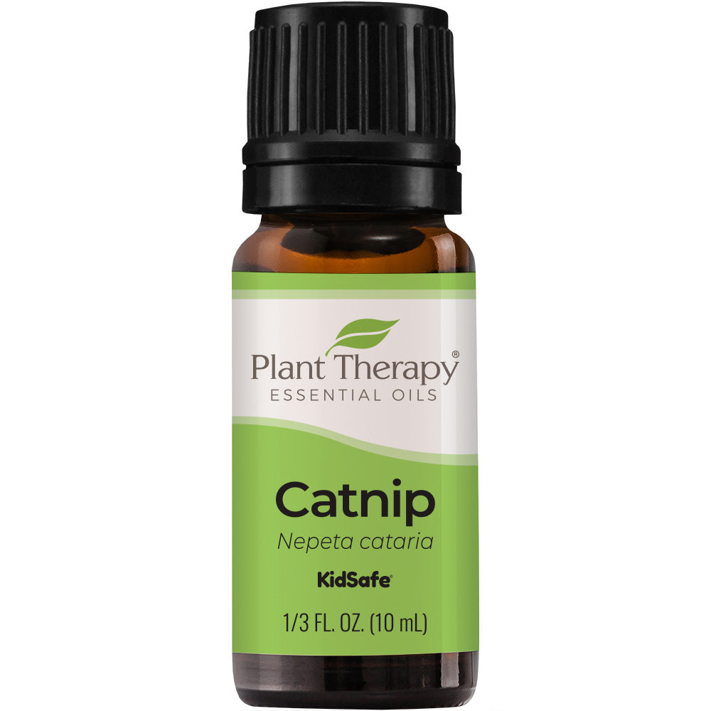 Plant Therapy Catnip Essential Oil – OilyPod