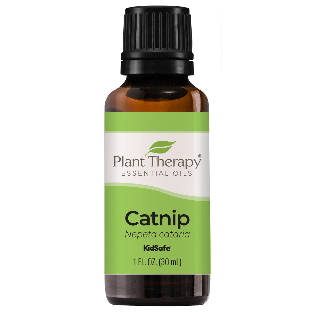 Plant Therapy Catnip Essential Oil – OilyPod